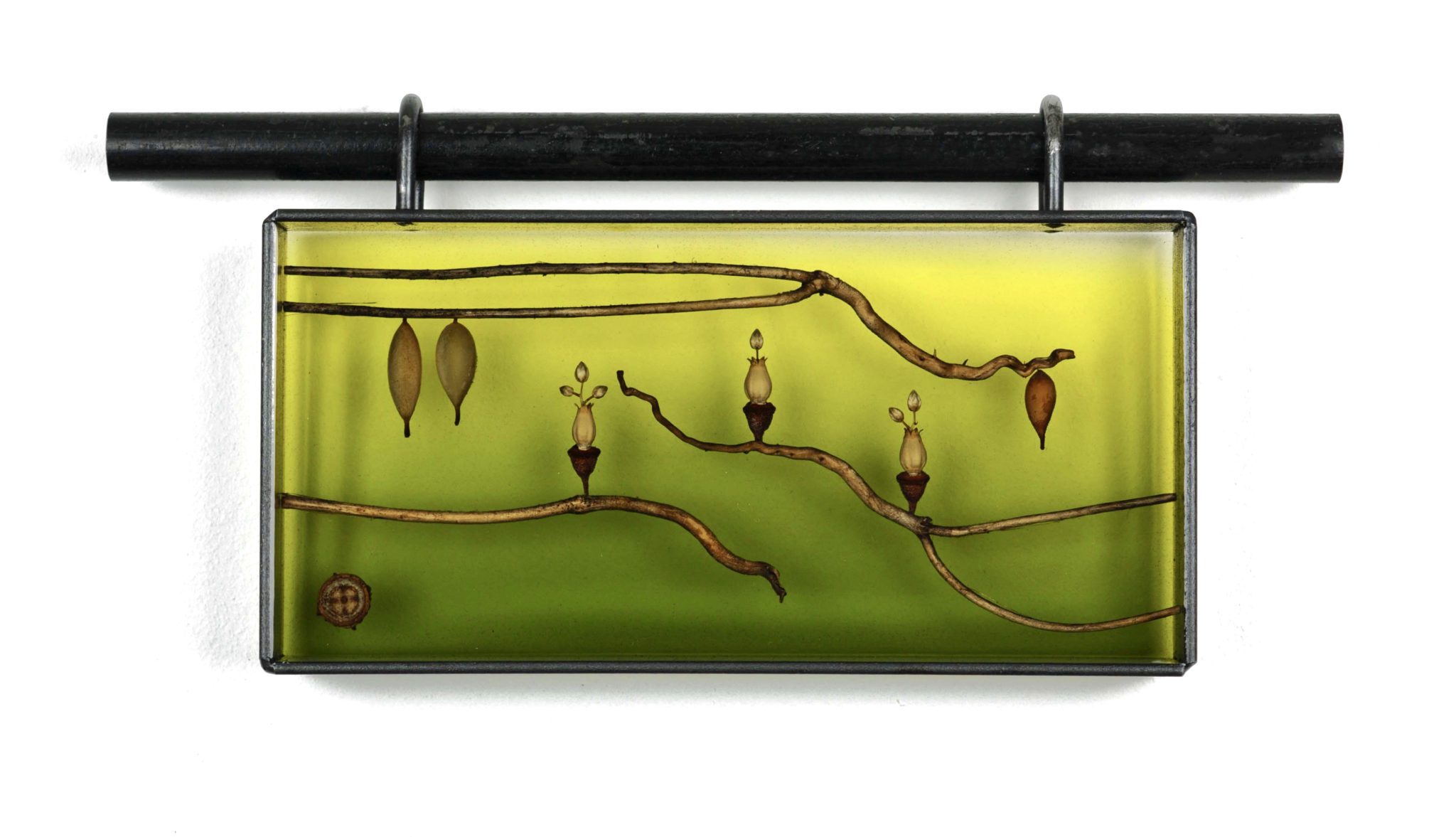 Wall Hangings : Andrea Haffner