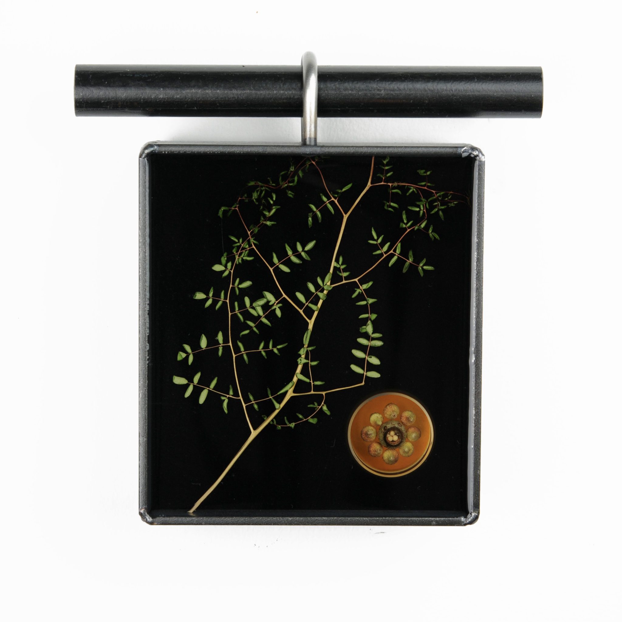 Wall Hangings : Andrea Haffner